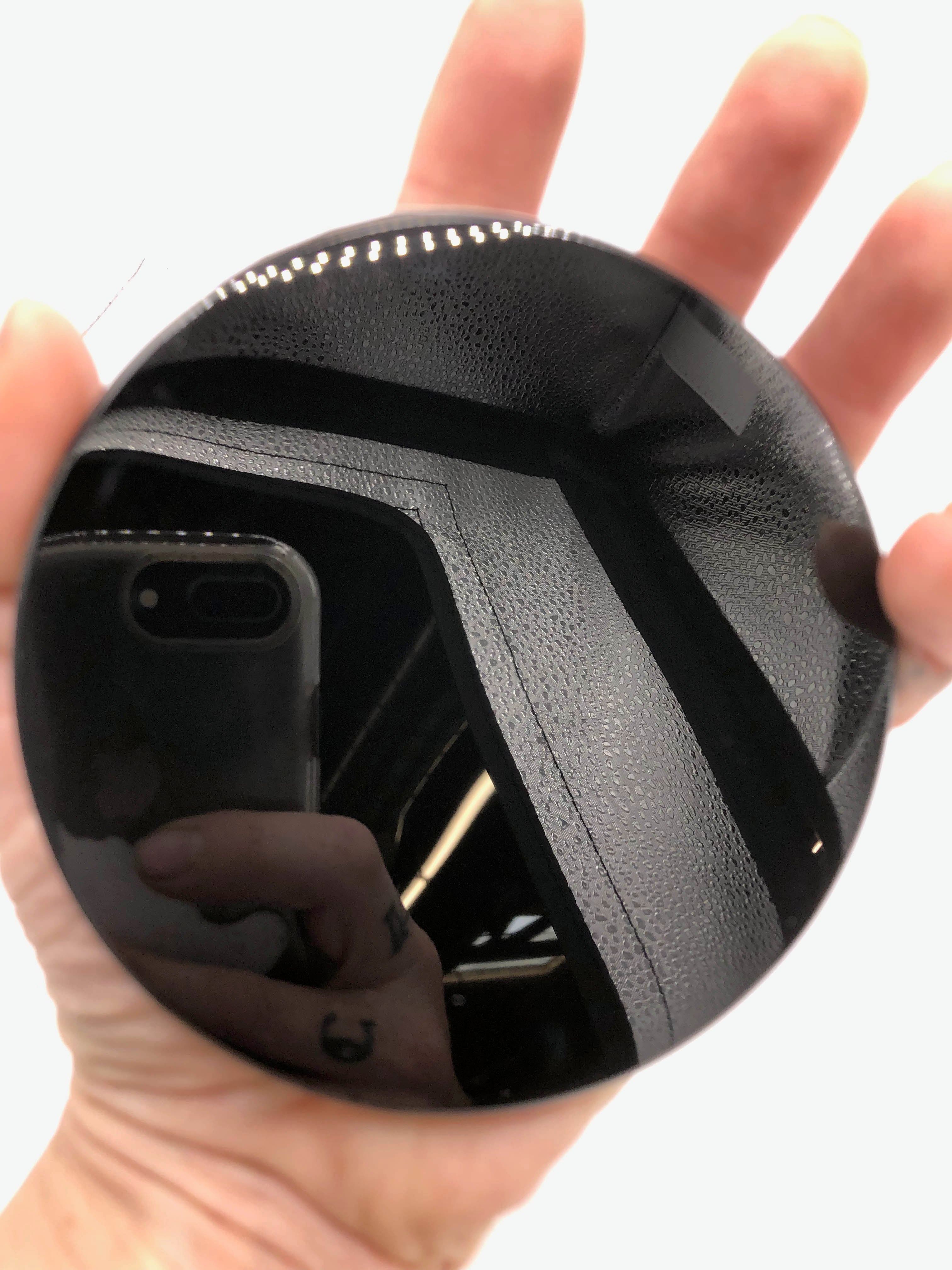 Coprolite: Fossilized Prehistoric Poop