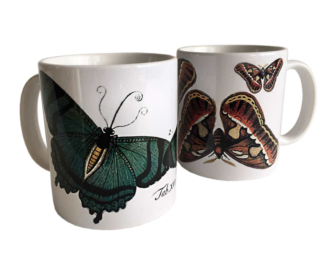 Butterfly Print Mug, Natural History Coffee Cup
