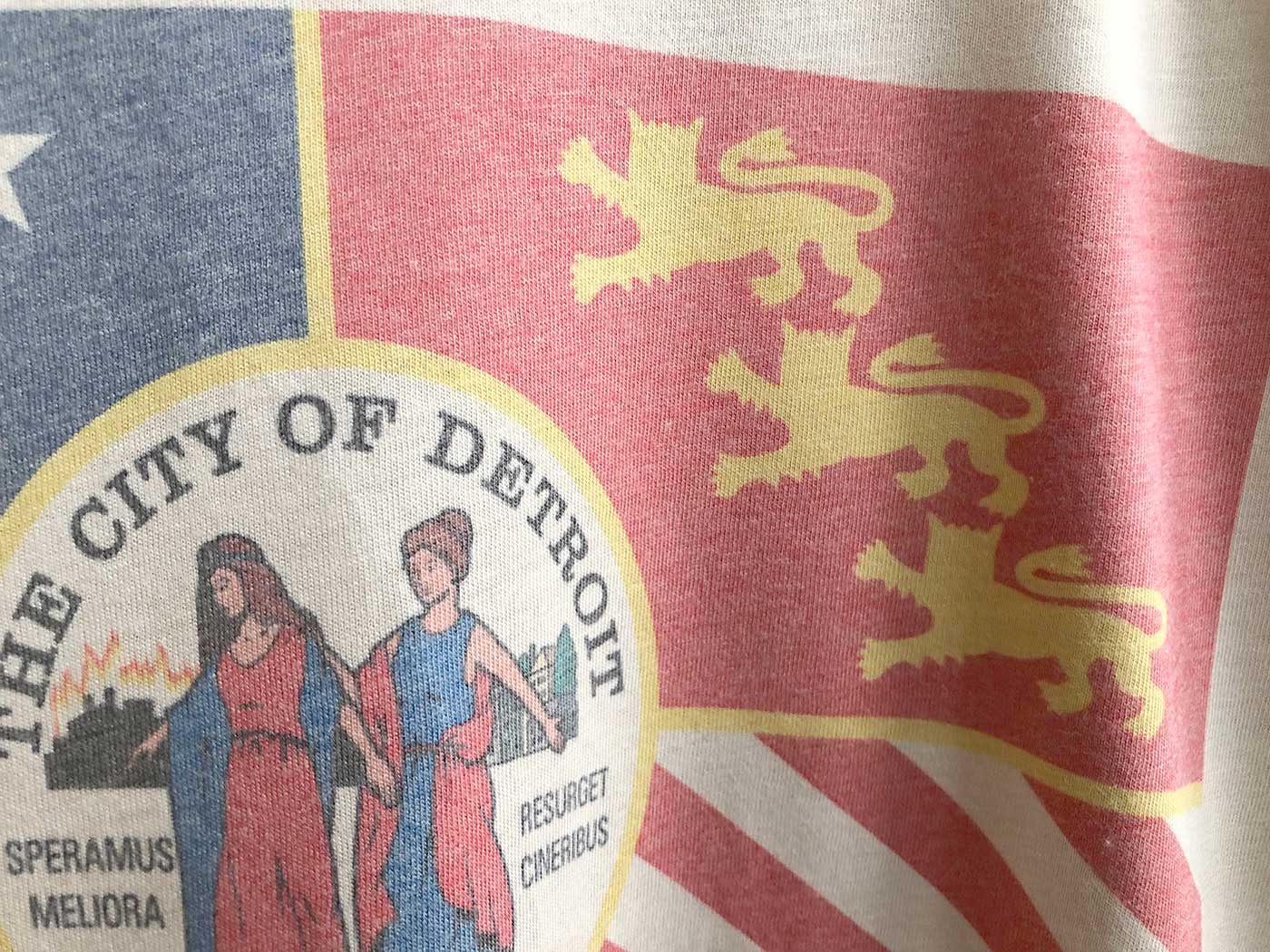 Vintage Style Detroit Pennant Flags