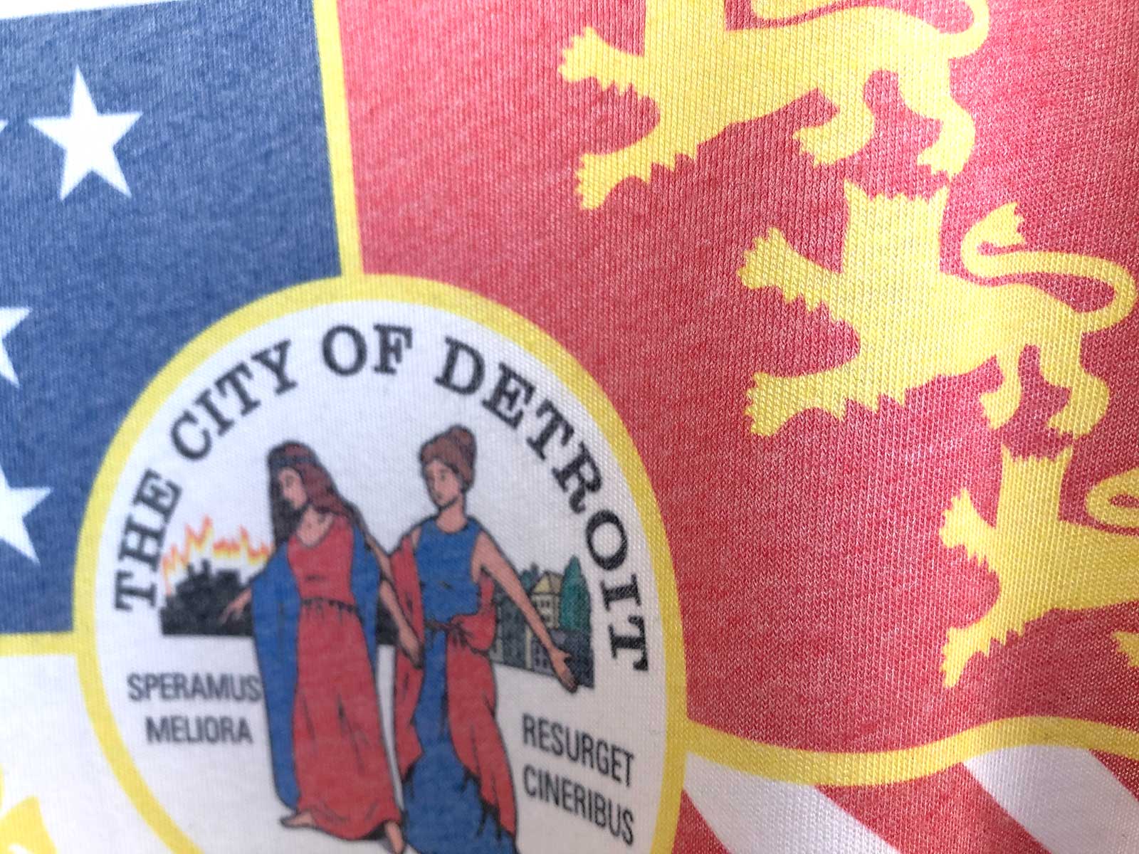 Vintage Style Detroit Pennant Flags