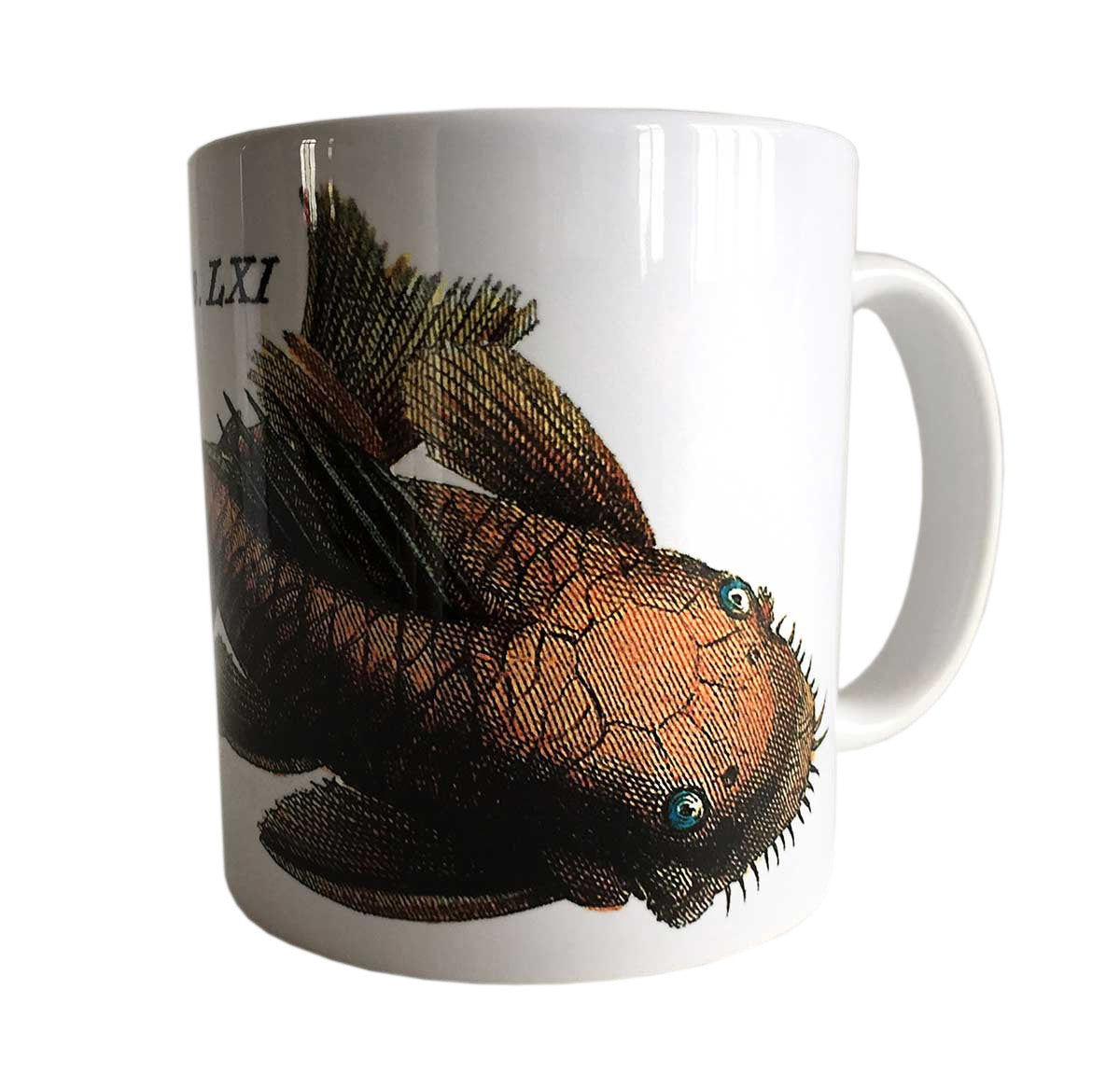 Koi Fish Print Mug, Natural History Coffee Cup, Well Done Goods